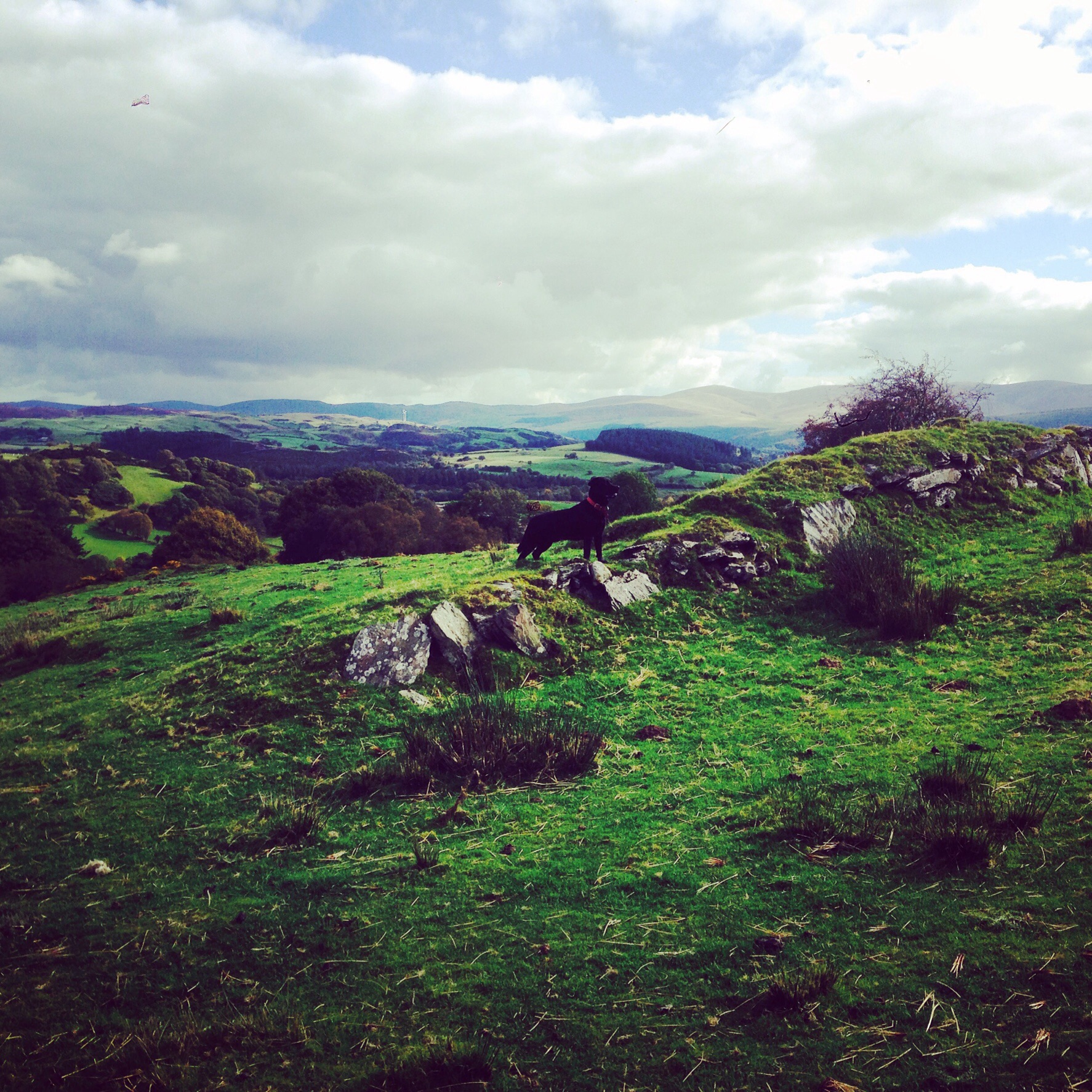 Indian summer in Cymru | Ty Beic